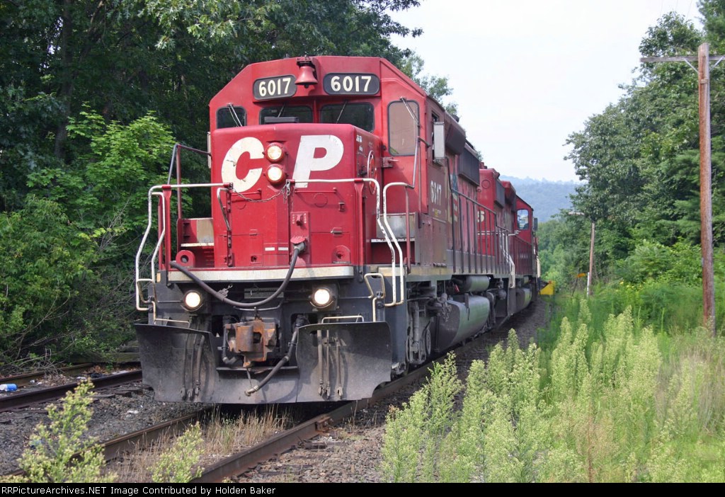 CP 6017